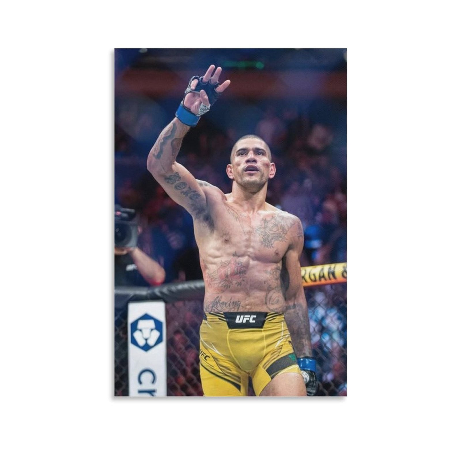 Alex Pereira Boxer Poster Canvas Poster Posters Wall Art Painting ...