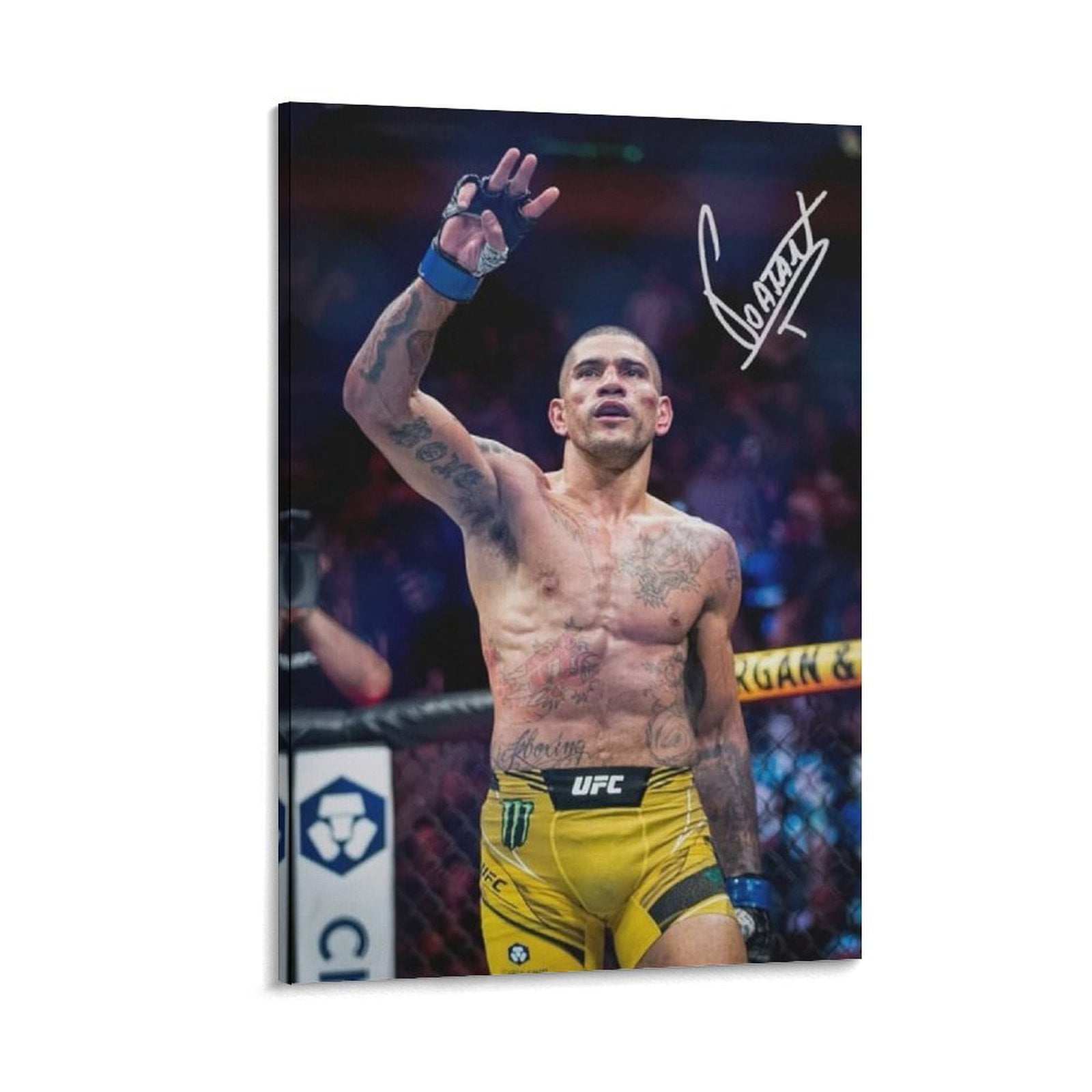 Alex Pereira Poster Picture Print Wall Art Poster Painting Canvas ...