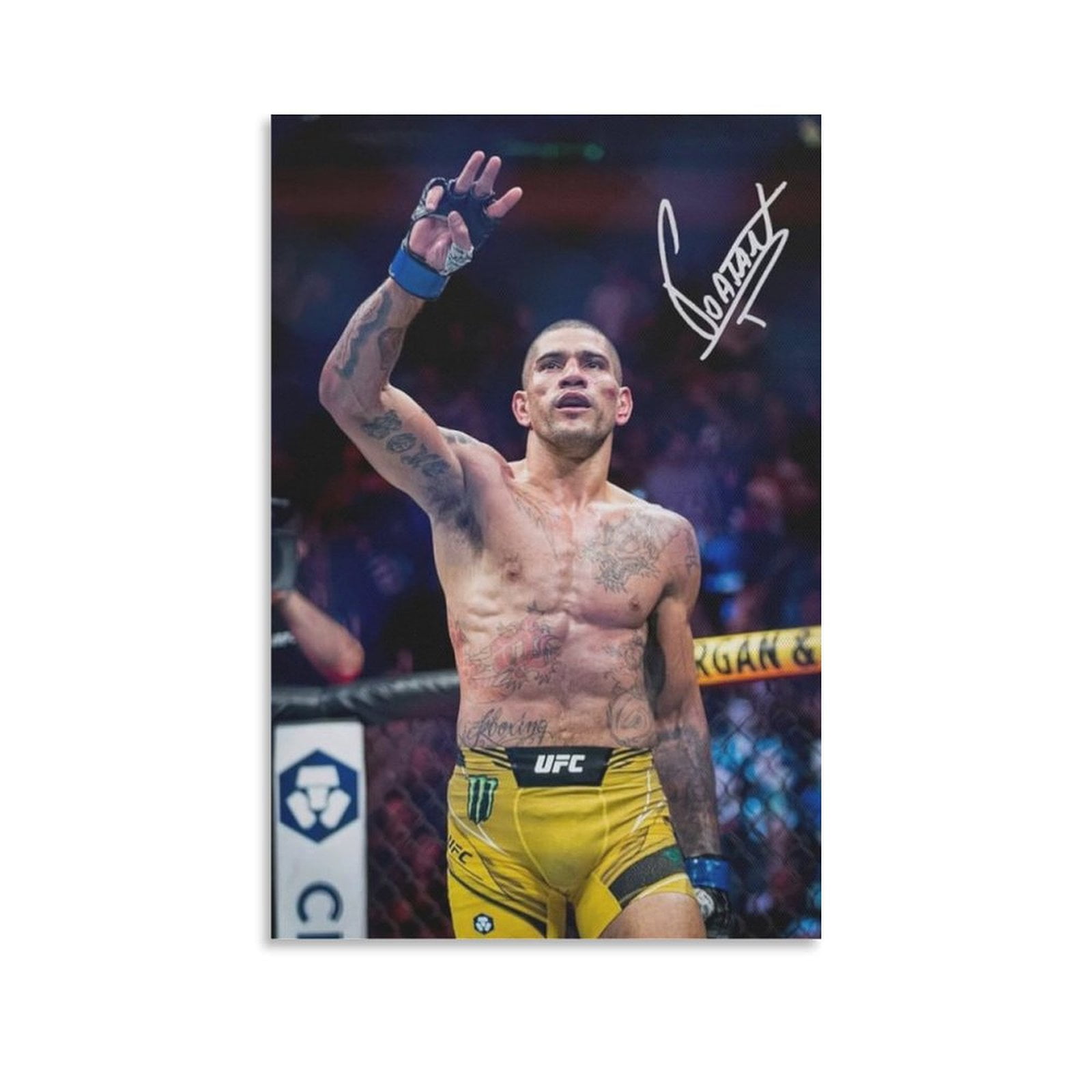 Alex Pereira Poster Picture Print Wall Art Poster Painting Canvas ...