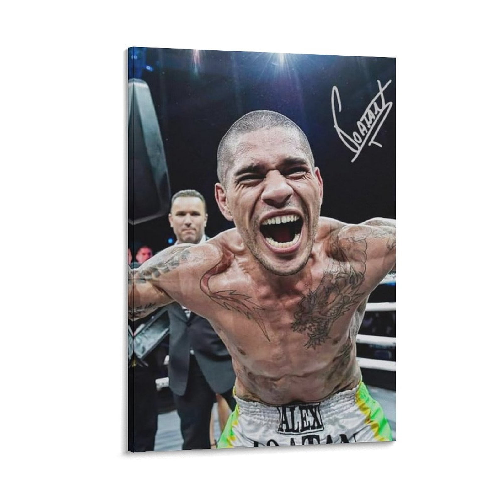 Alex Pereira Posters Posters Wall Art Painting Canvas Gift Living Room ...