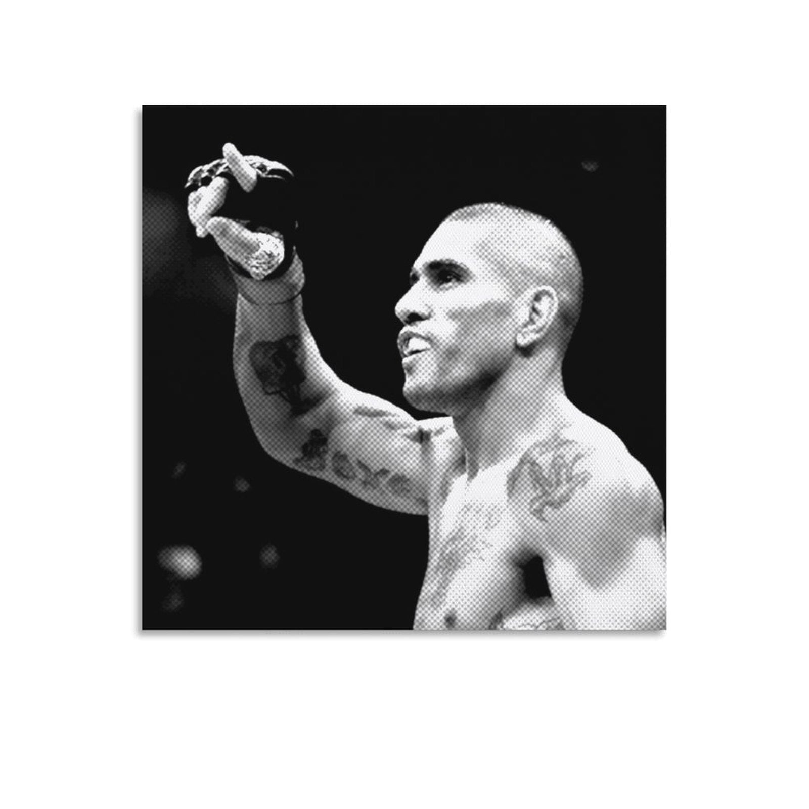 Alex Pereira Retro Poster Art Canvas Wall Art Poster Decorative Bedroom ...