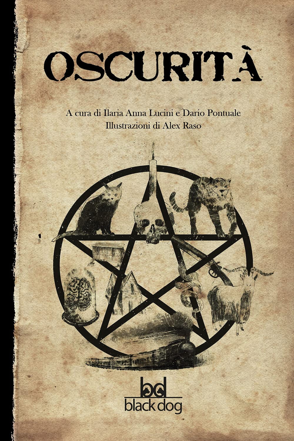 Alex Raso,Ilaria Anna Lucini,Dario Pontuale Oscurità (Paperback ...