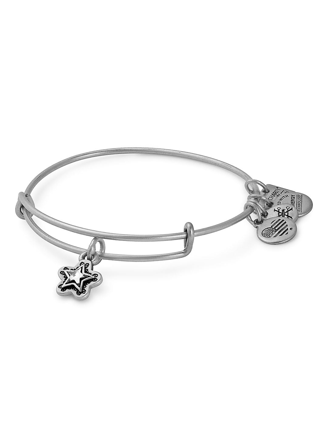 Alex and Ani Charity By Design, True Wish EWB Rafaelian Silver Bangle Bracelet - Walmart.com