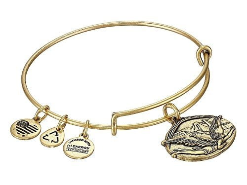 Alex and Ani Guardian of Freedom Charm Bangle Rafaelian Gold Finish Bracelet, A14EB88RG ...