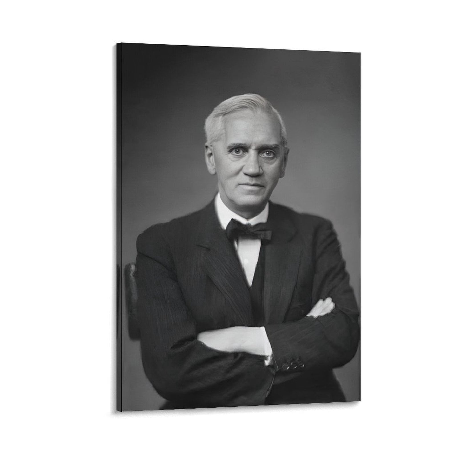 Alexander Fleming Portraits Poster Art Poster Canvas Painting Decor ...