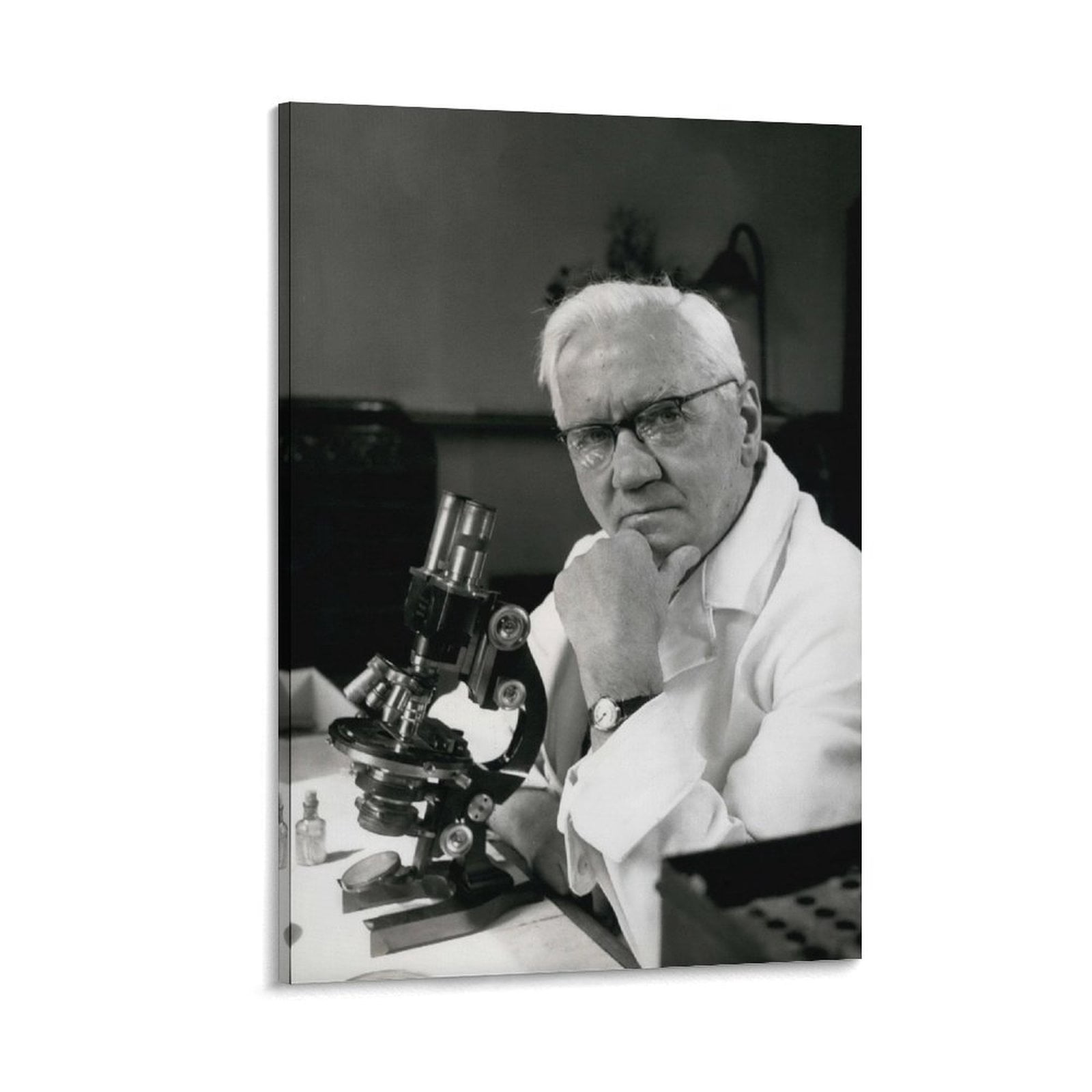 Alexander Fleming Poster Poster Decorative Painting Canvas Wall Art ...