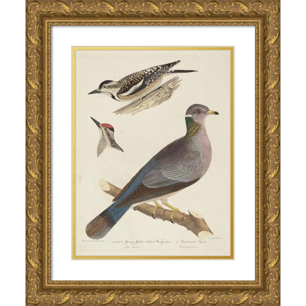 Alexander Lawson 15x18 Gold Ornate Wood Frame and Double Matted Museum ...