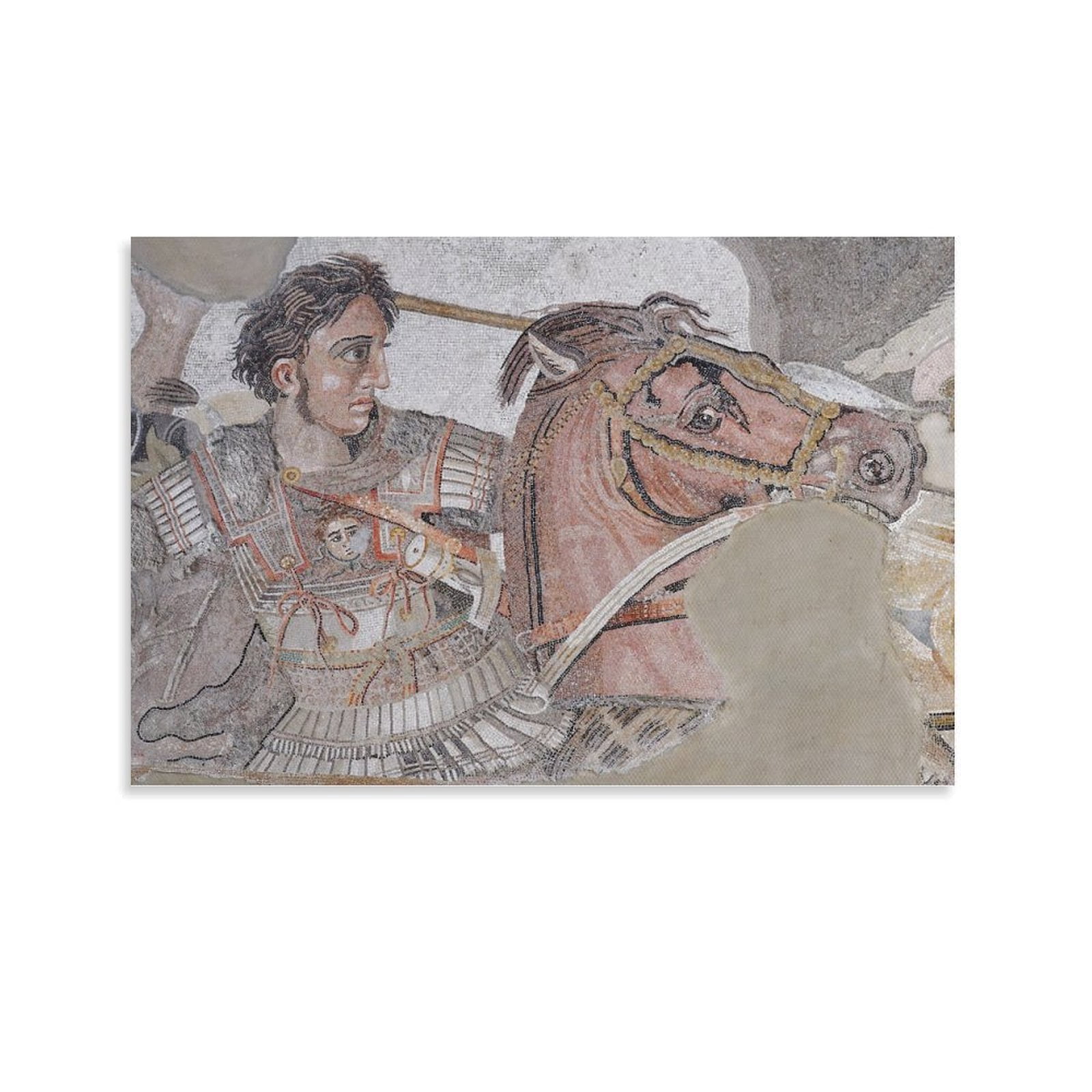 Alexander The Great Poster 5 Canvas Wall Art Poster Decorative Bedroom ...