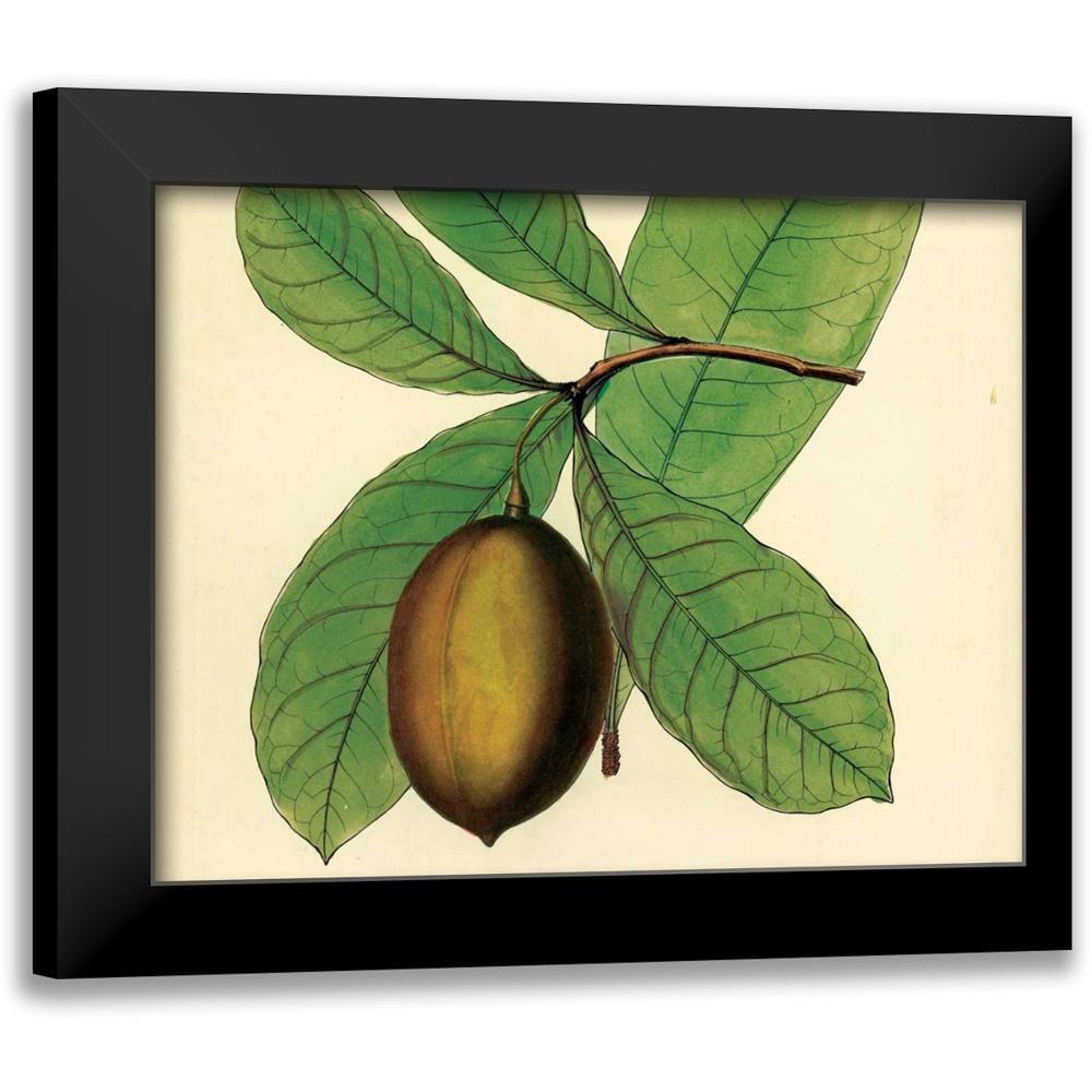 Alexander, Zachary 14x12 Black Modern Framed Museum Art Print Titled ...