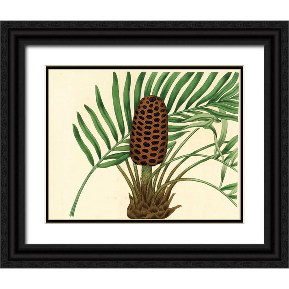 Alexander, Zachary 14x12 Black Ornate Wood Framed with Double Matting ...