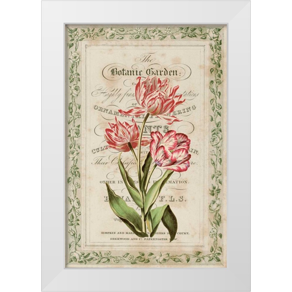 Alexander, Zachary 17x24 White Modern Wood Framed Museum Art Print ...