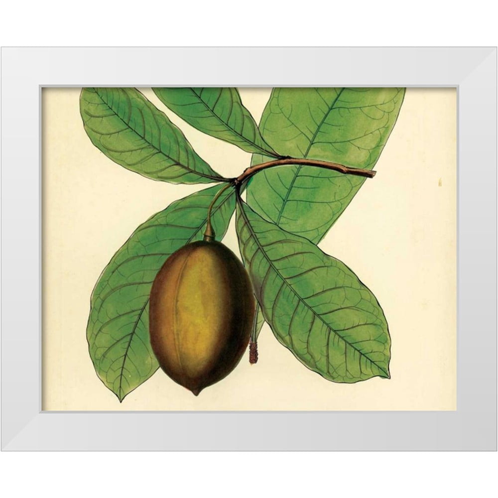 Alexander, Zachary 32x26 White Modern Wood Framed Museum Art Print ...