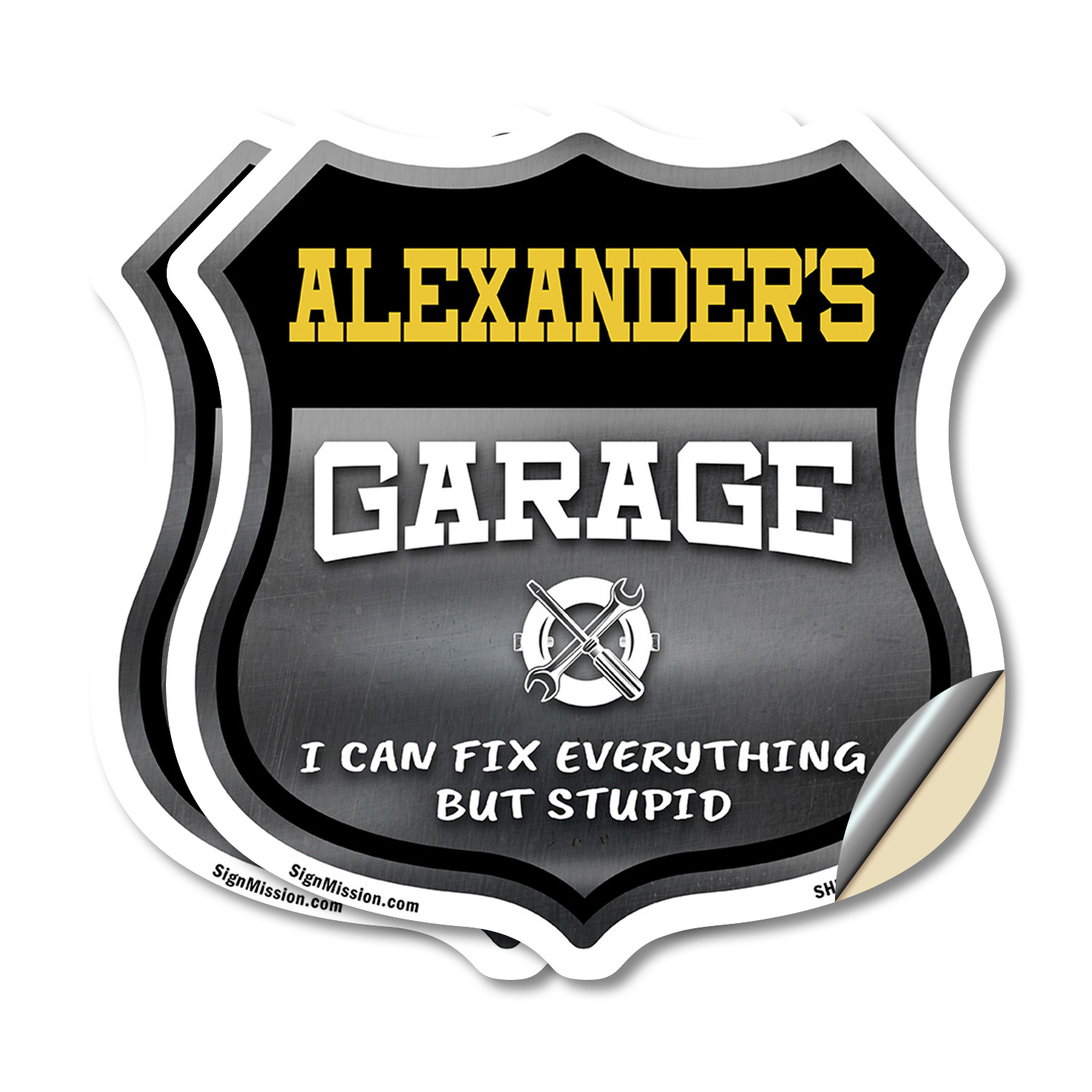 Alexander's Garage I Can Fix Everything But Stupid (2 Pack) 12 inch X ...