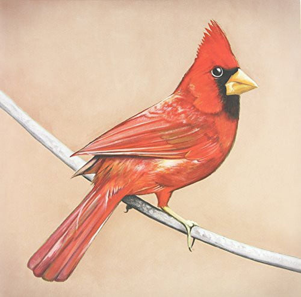 Alexisonfire - Old Crows / Young Cardinals - Vinyl - Walmart.com
