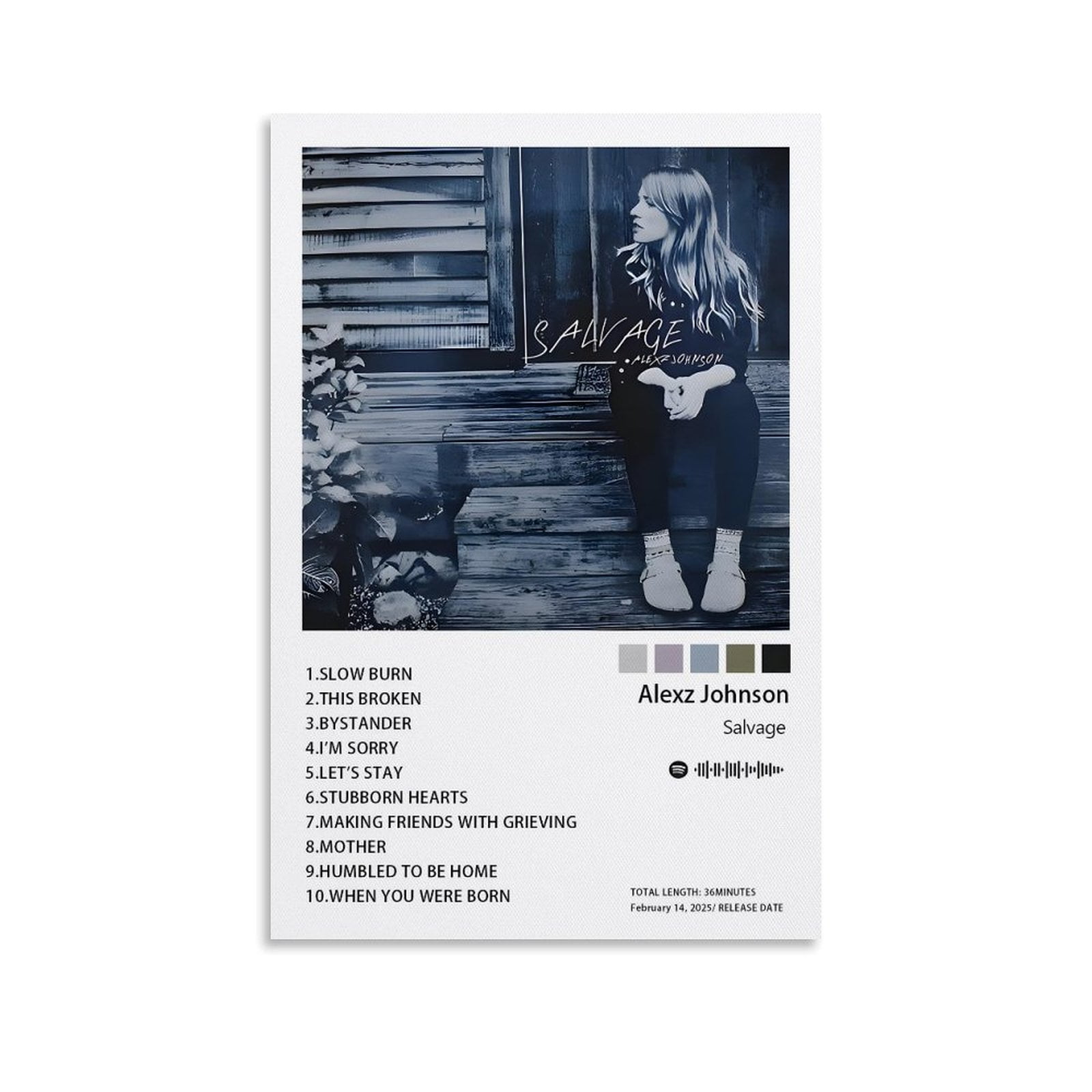 Alexz Johnson Salvage Album Cover Poster Canvas Wall Art Painting ...