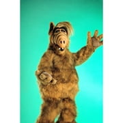 Alf Poster