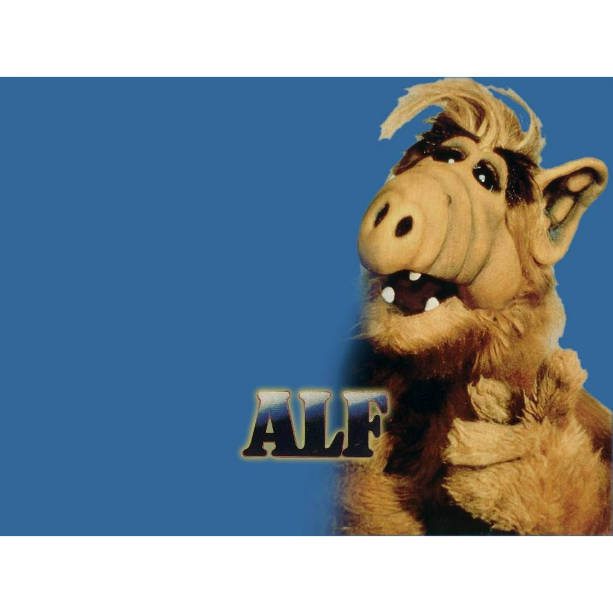 Alf Alien Life Form Television Birthday Edible Image Cake Topper For ...