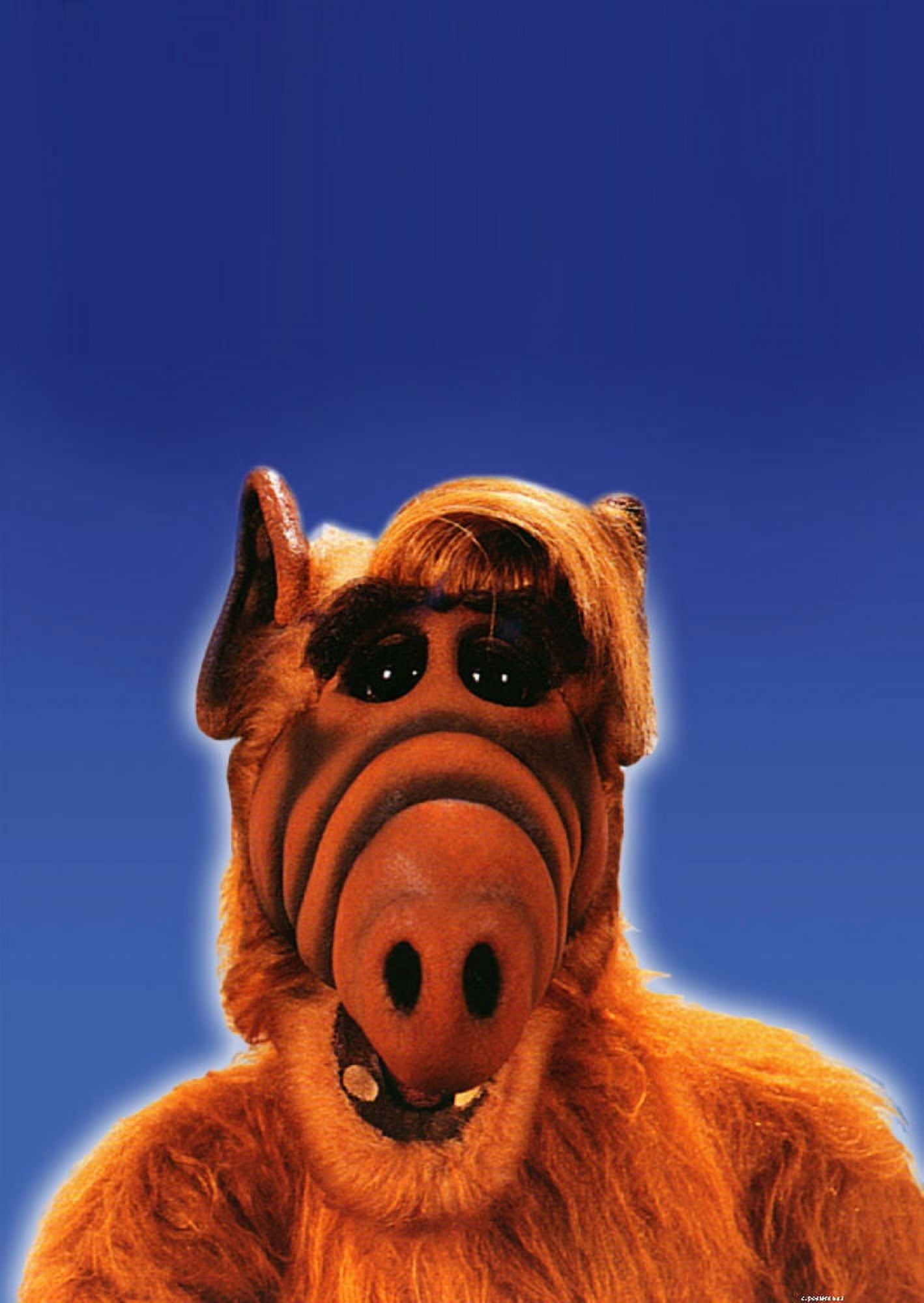 Alf posters Alf poster Metal Print 12x16 Large Print on Metal 12x16 ...