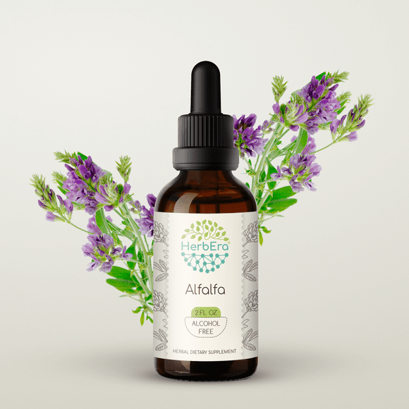 Alfalfa Liquid Extract