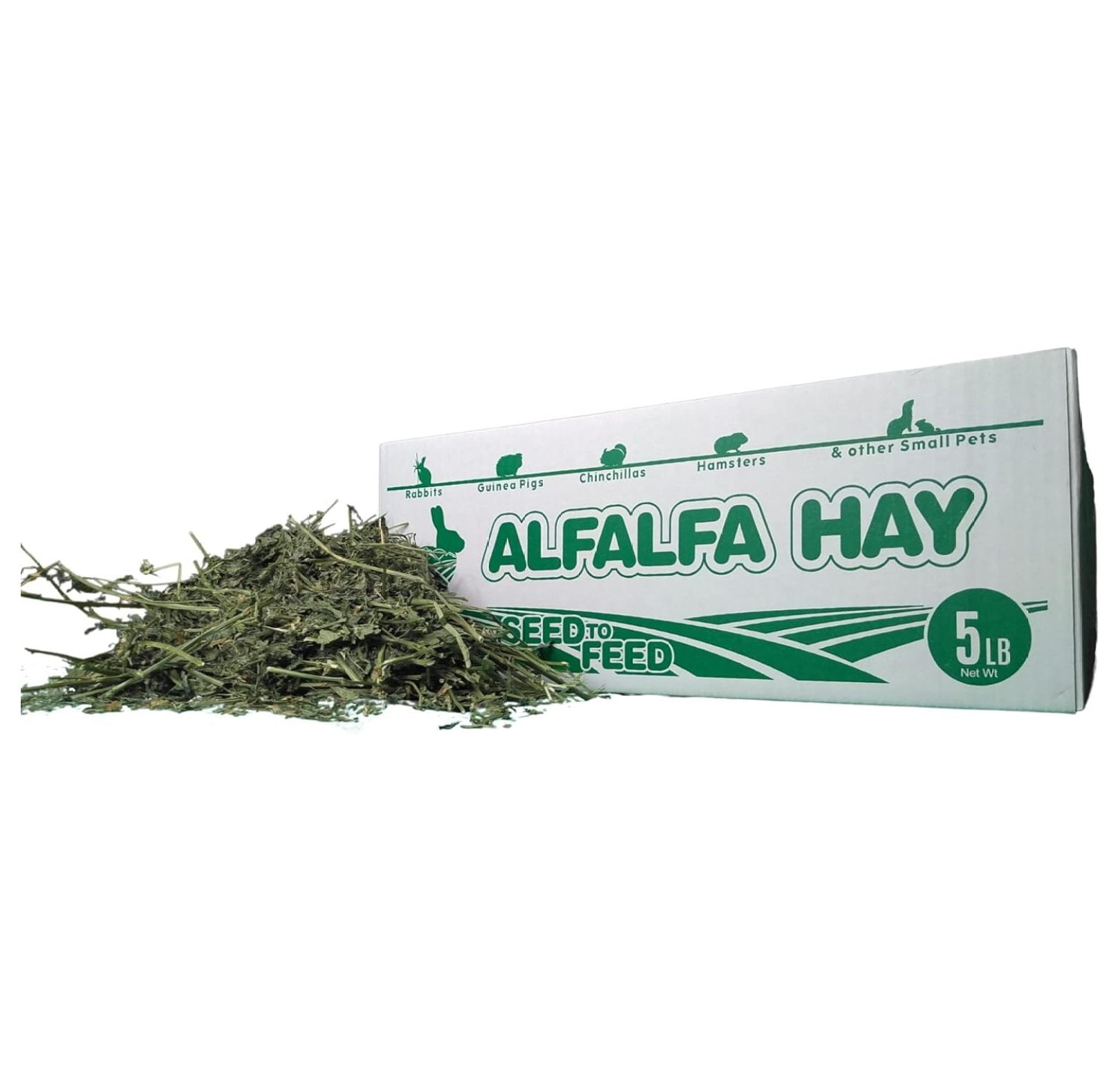 Alfalfa Hay - Dried Natural Alfalfa Hay for Rabbits, Guinea Pigs ...