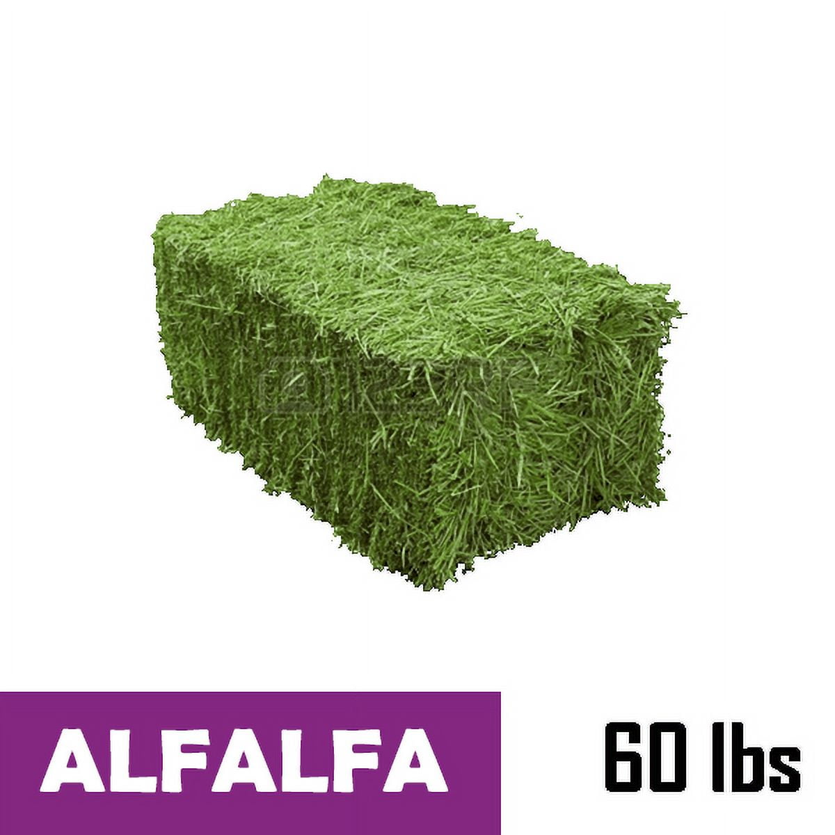 Alfalfa Hay Bales