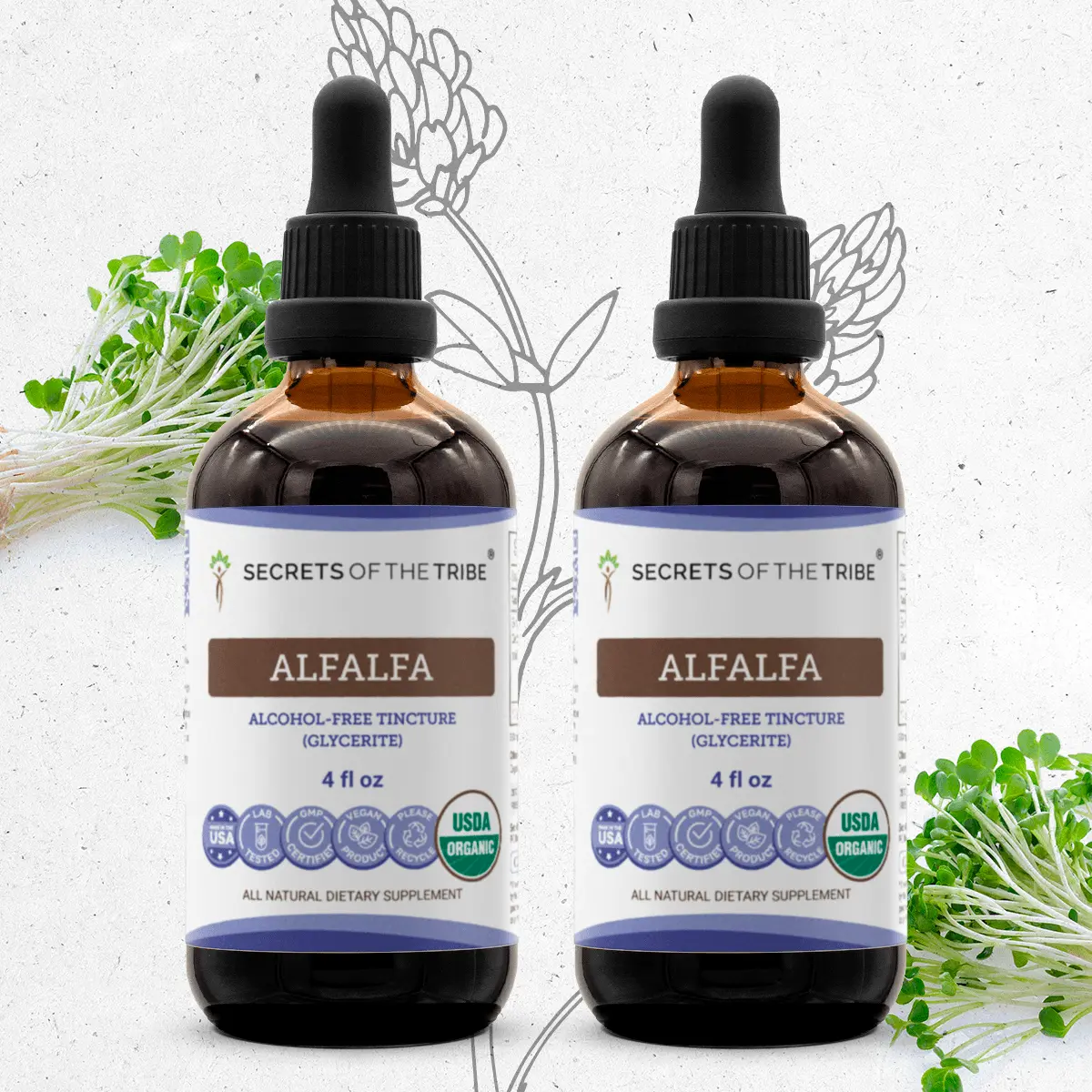 Alfalfa Tincture Alcohol-FREE Extract, Organic Alfalfa Medicago Sativa ...