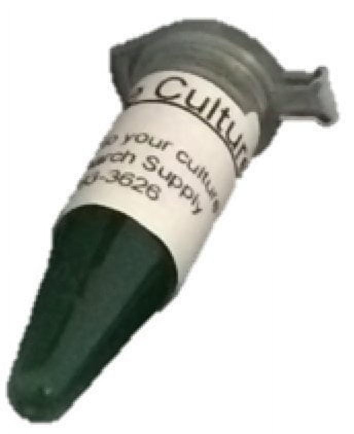 Algae Culture for Six Strains, Perfect for School Science Fairs ...