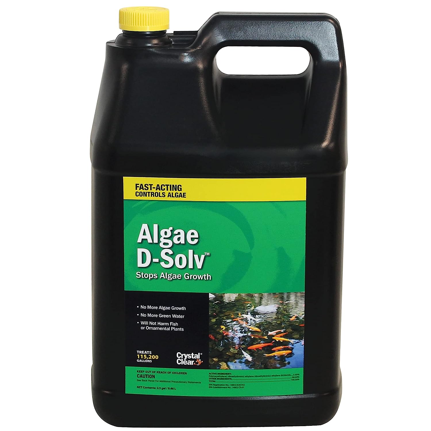 Algae D-Solv Pond Algae Control, Fast-Acting EPA Registered Algaecide ...