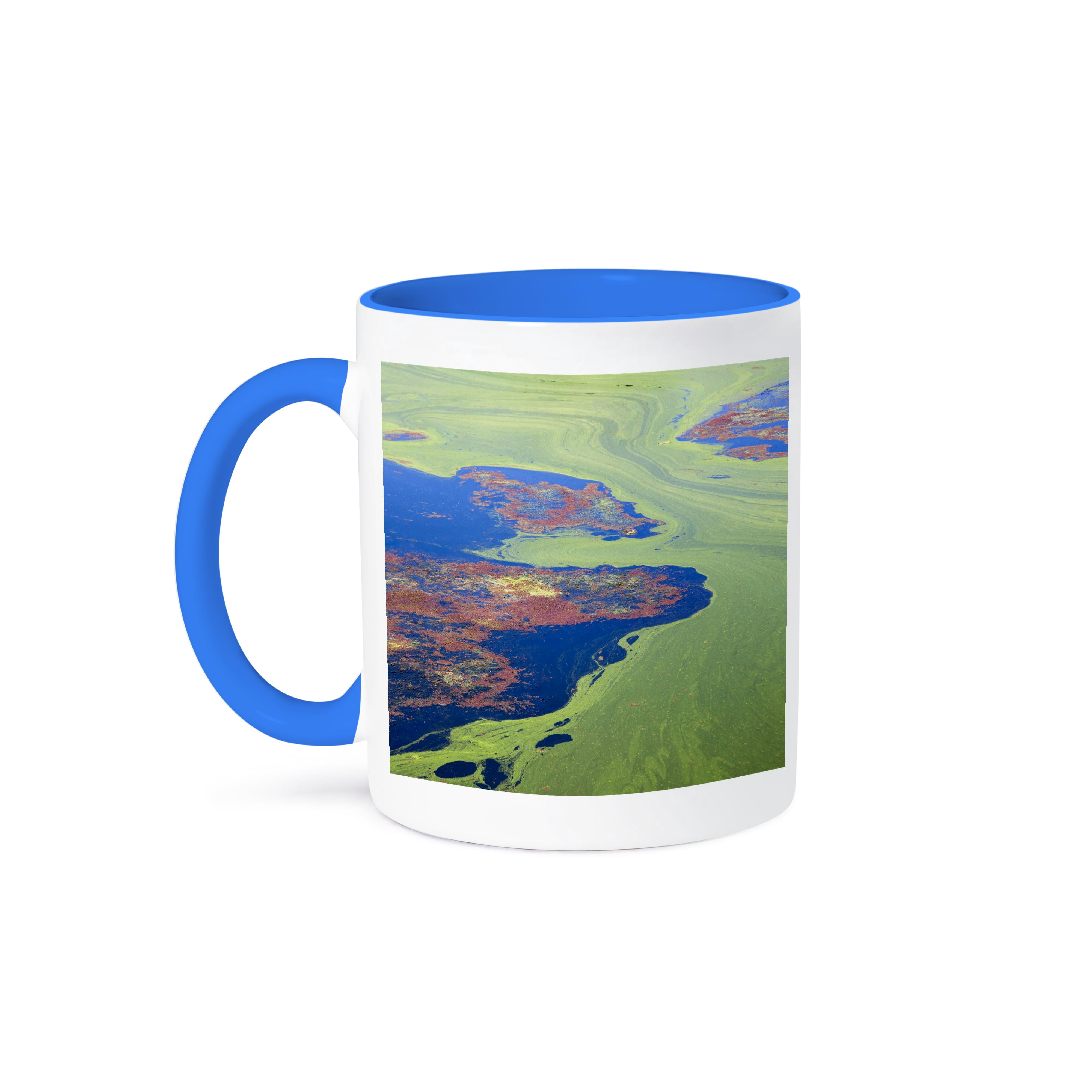 3dRose, Algae on water, Indhar Lake, Udaipur, Rajasthan - AS10 KSU0393 ...