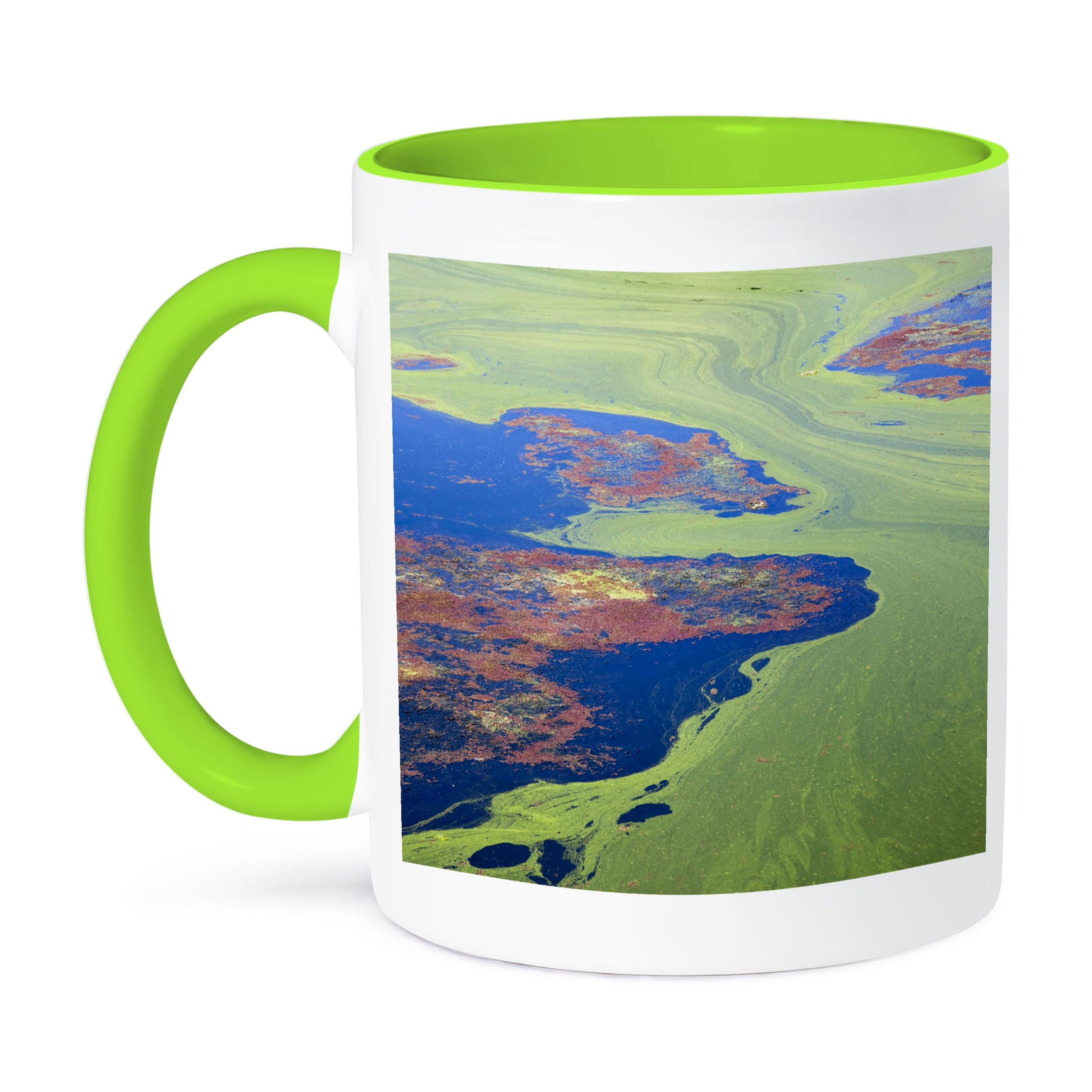 3dRose, Algae on water, Indhar Lake, Udaipur, Rajasthan - AS10 KSU0393 ...