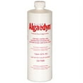 Algaedyn Algaecide Swimming Pool Chemical, Silver, 1 qt - Walmart.com