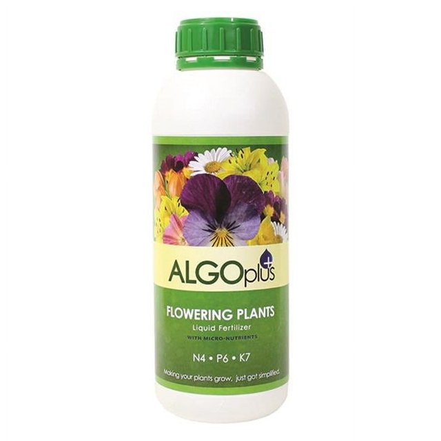 AlgoPlus Blooming Flowering Plant Fertilizer, 1 Litre Capacity for ...