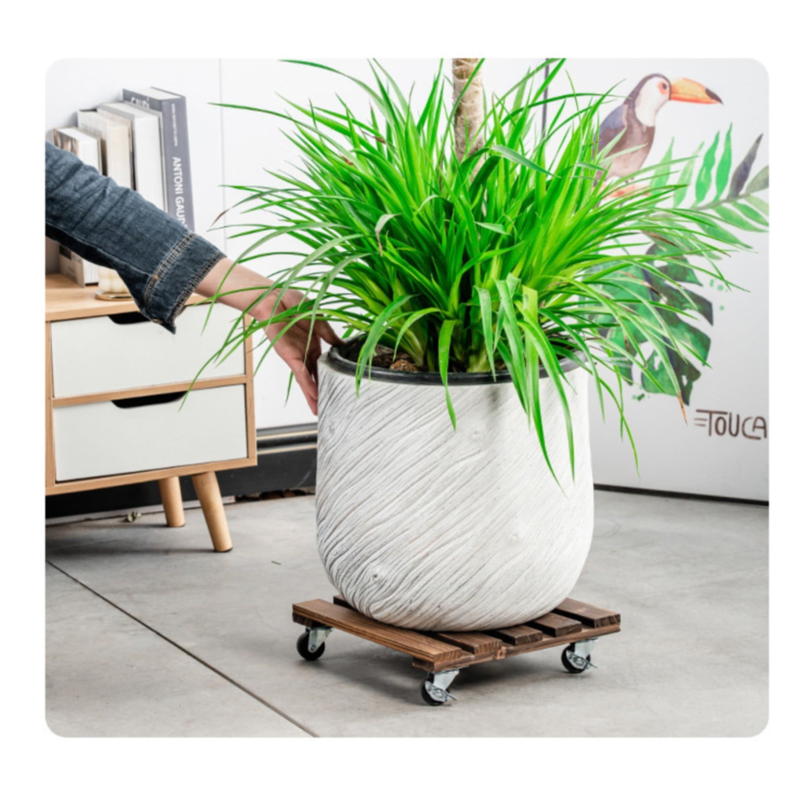 Alialene Plant Caddy With Wheels Rolling Plant Stand LBS Heavy Duty ...