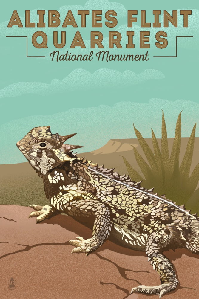 Alibates Flint Quarries National Monument, Texas, Horned Lizard ...