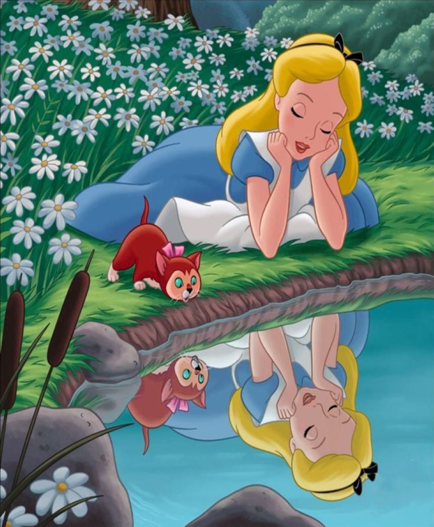 Alice in Wonderland 5D Diamond Paint Kits for Adults Princess Diamond ...