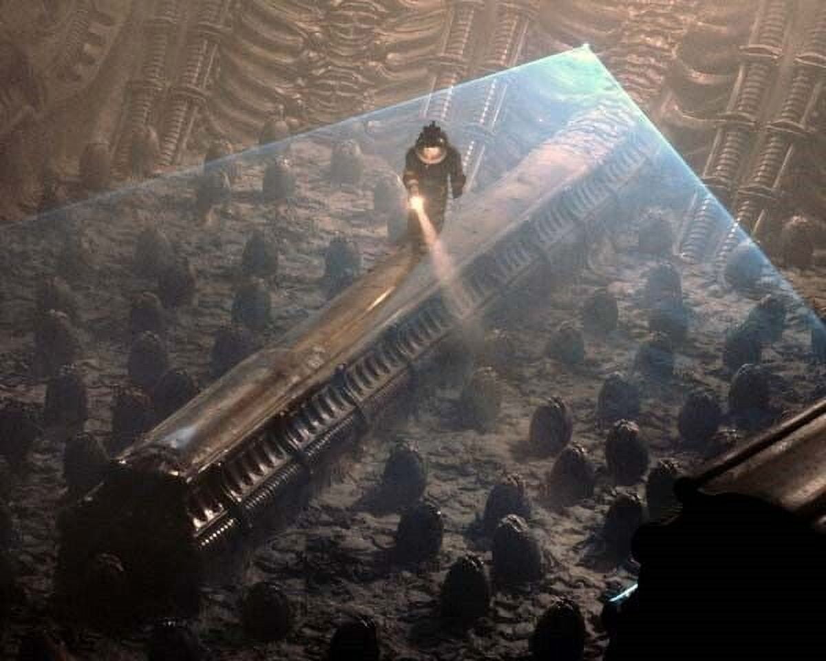 Alien 1979 inside the alien egg chamber 4x6 photo inch poster - Walmart.com