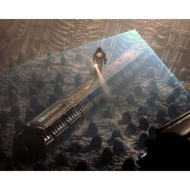 Alien 1979 inside the alien egg chamber 4x6 photo inch poster - Walmart.com