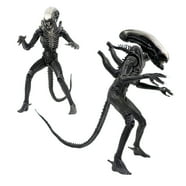 Alien Action Figure Grid Alien Xenomorph Aliens vs Predator 7-Inch ...