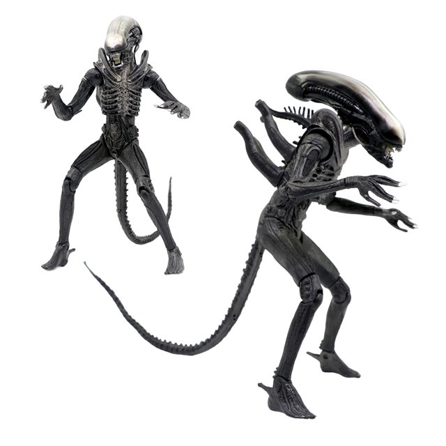 Alien Action Figure Xenomorph Aliens vs Predator Warrior Alien 7-Inch ...