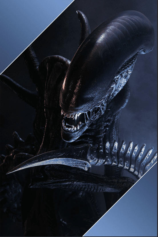 Alien Complete Collection Poster - 24x36 | Sci-Fi Horror Series Poster ...