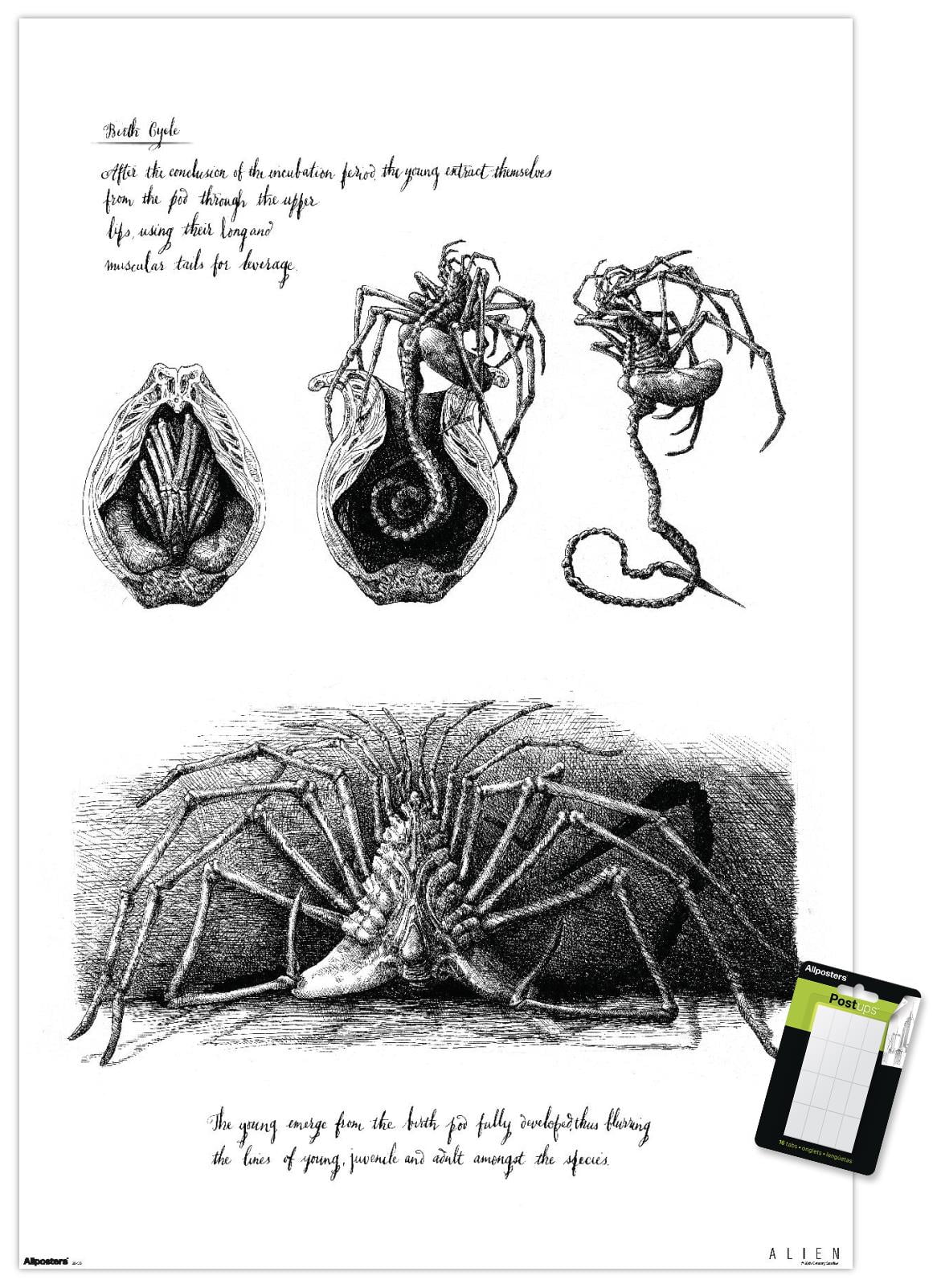 Alien: Covenant - David's Drawing Wall Poster, 14.725" x 22.375 ...