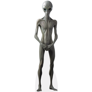 Muscle System Anatomy Cardboard Cutout Life Size Standup