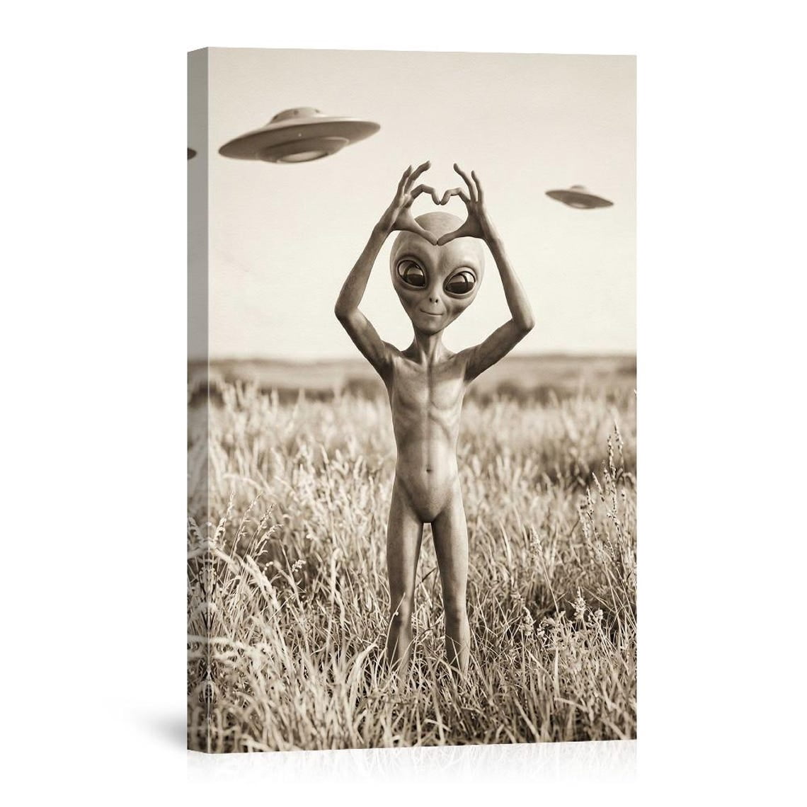 Alien Love Heart In Cornfield Sepia UFO Sci-Fi Pop Art Canvas - Walmart.com