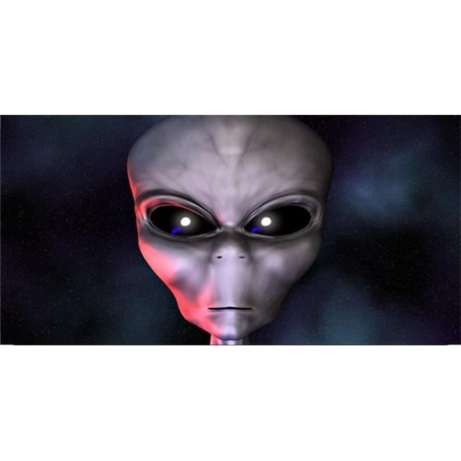 Alien Photo License Plate - Walmart.com