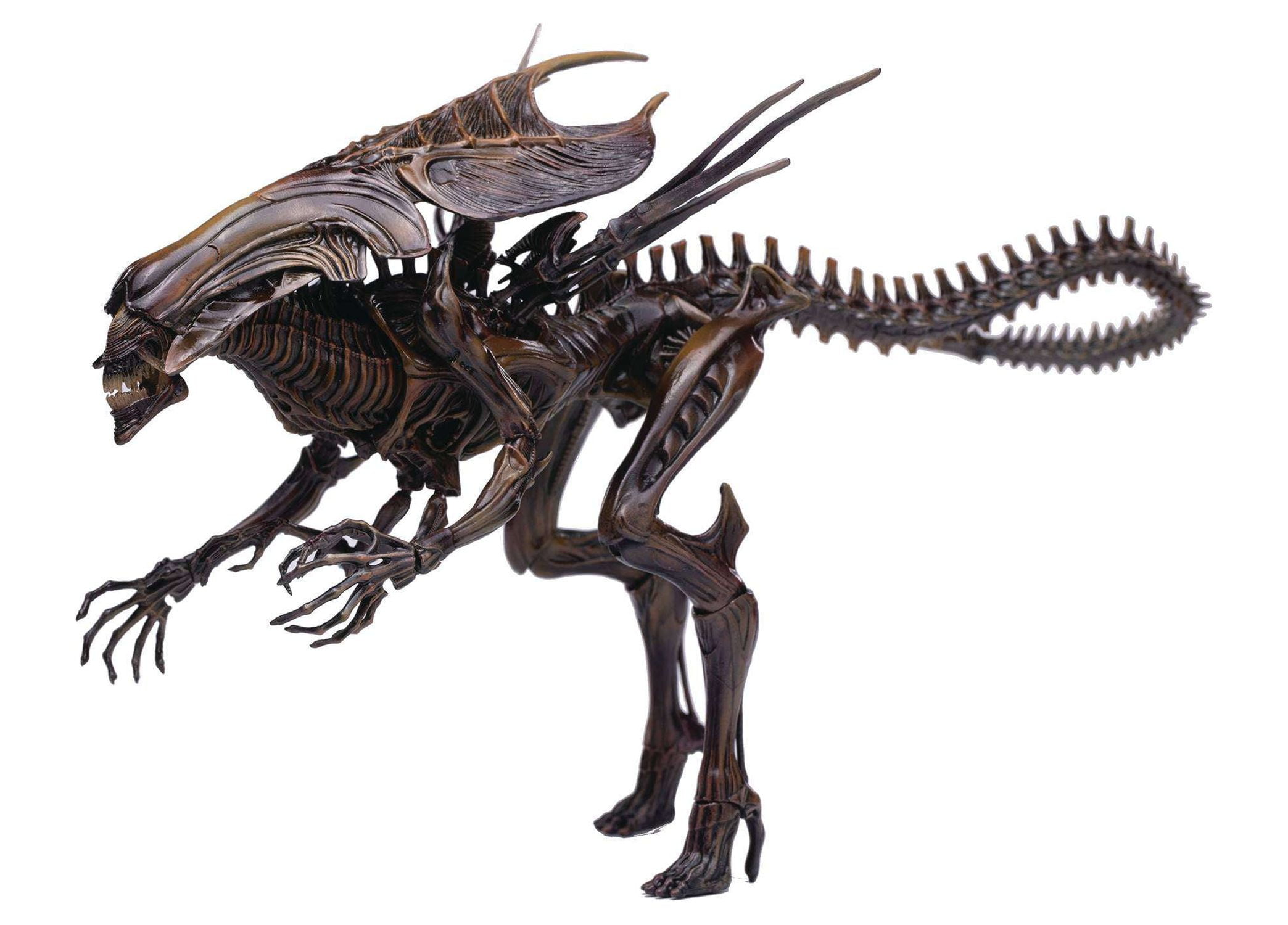 Baby Dinosaur Cloned