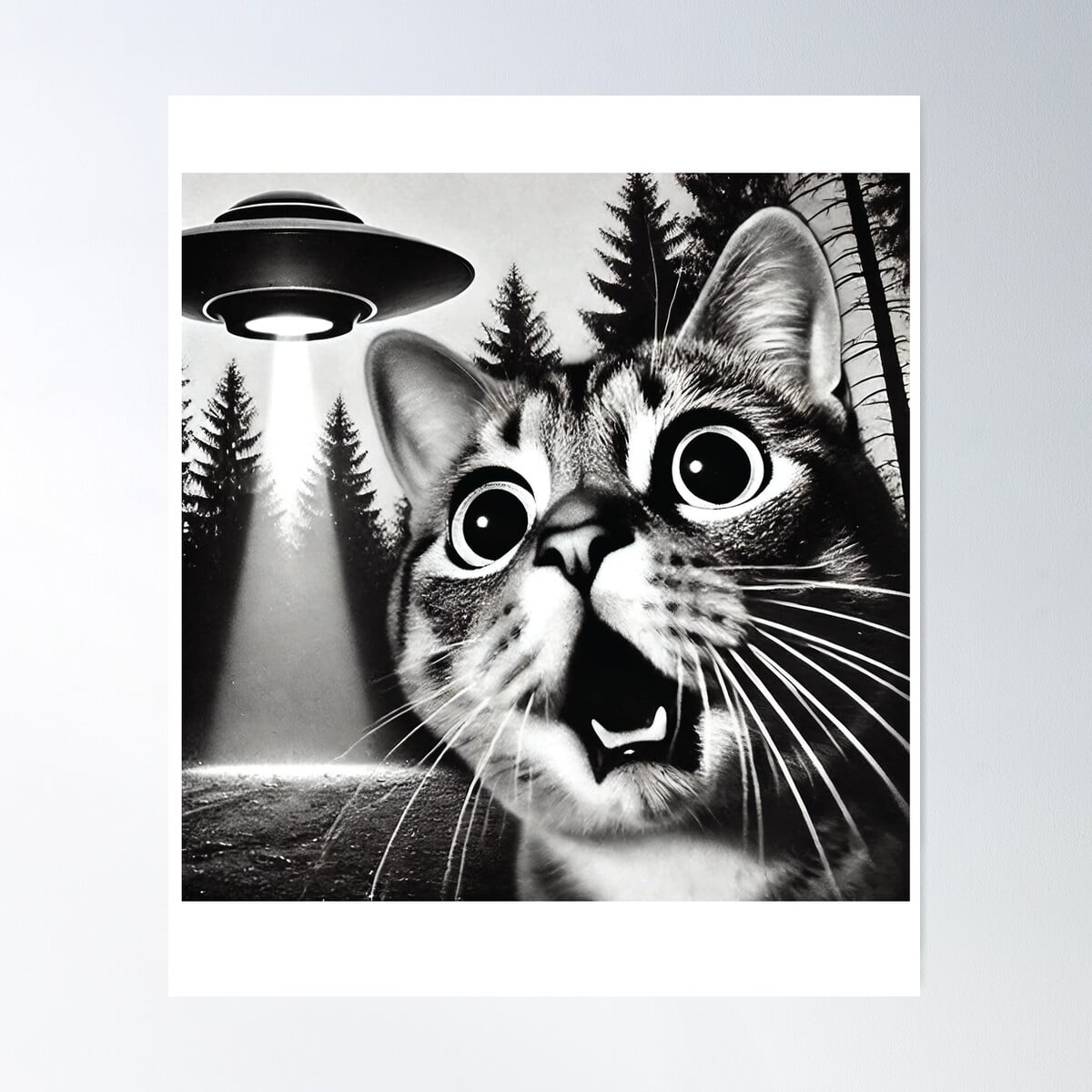 Alien Ufo Abduction | Funny Surprised Cat | Unknown Earth Mystery & Sci ...