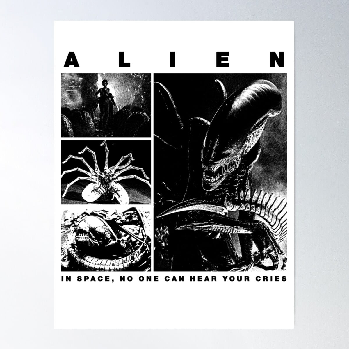 Alien Xenomorph Alien Phases Poster Wall Art Modern Wall Decor For ...