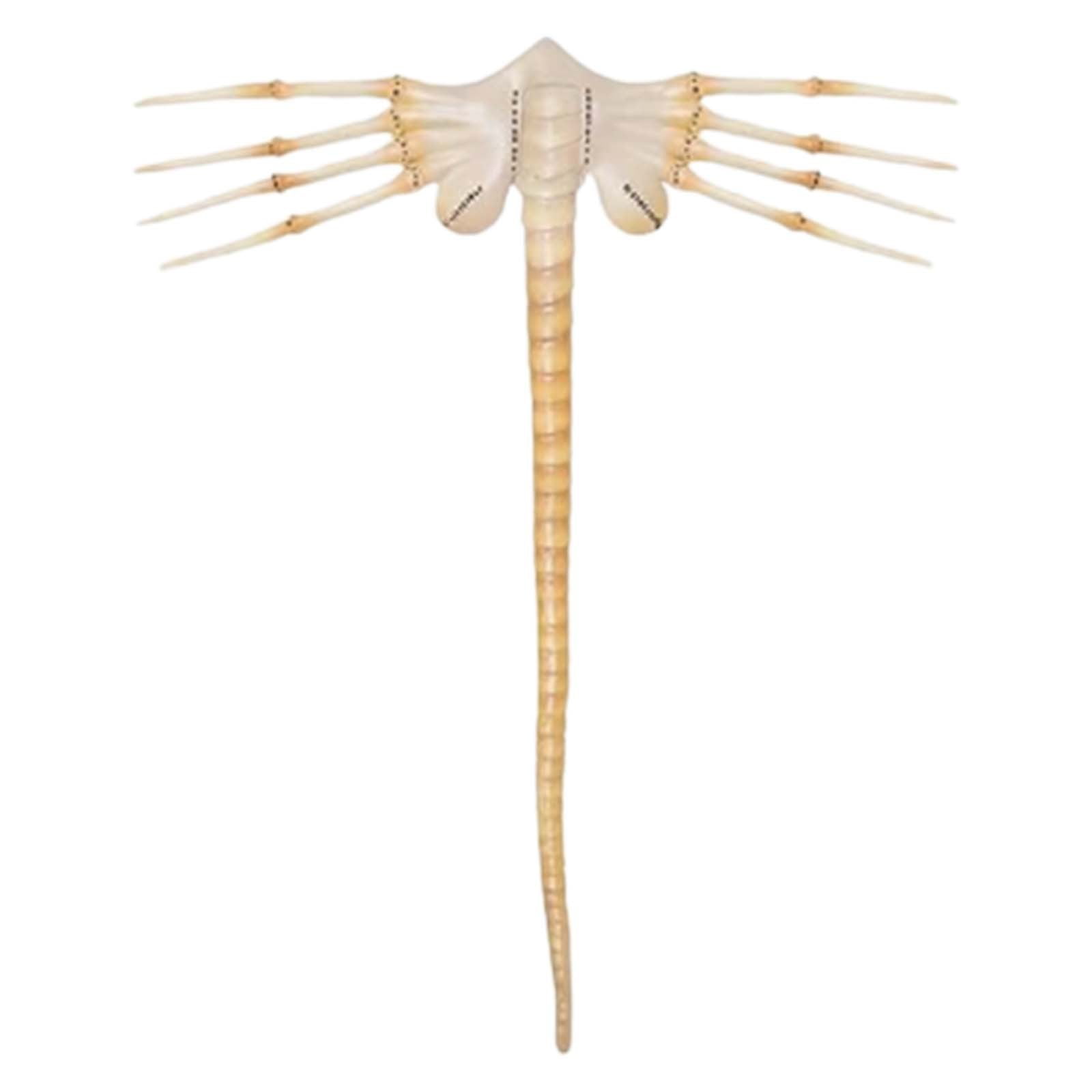 Alien Xenomorph Facehugger Scary Halloween Toy Alien Creature Movie ...