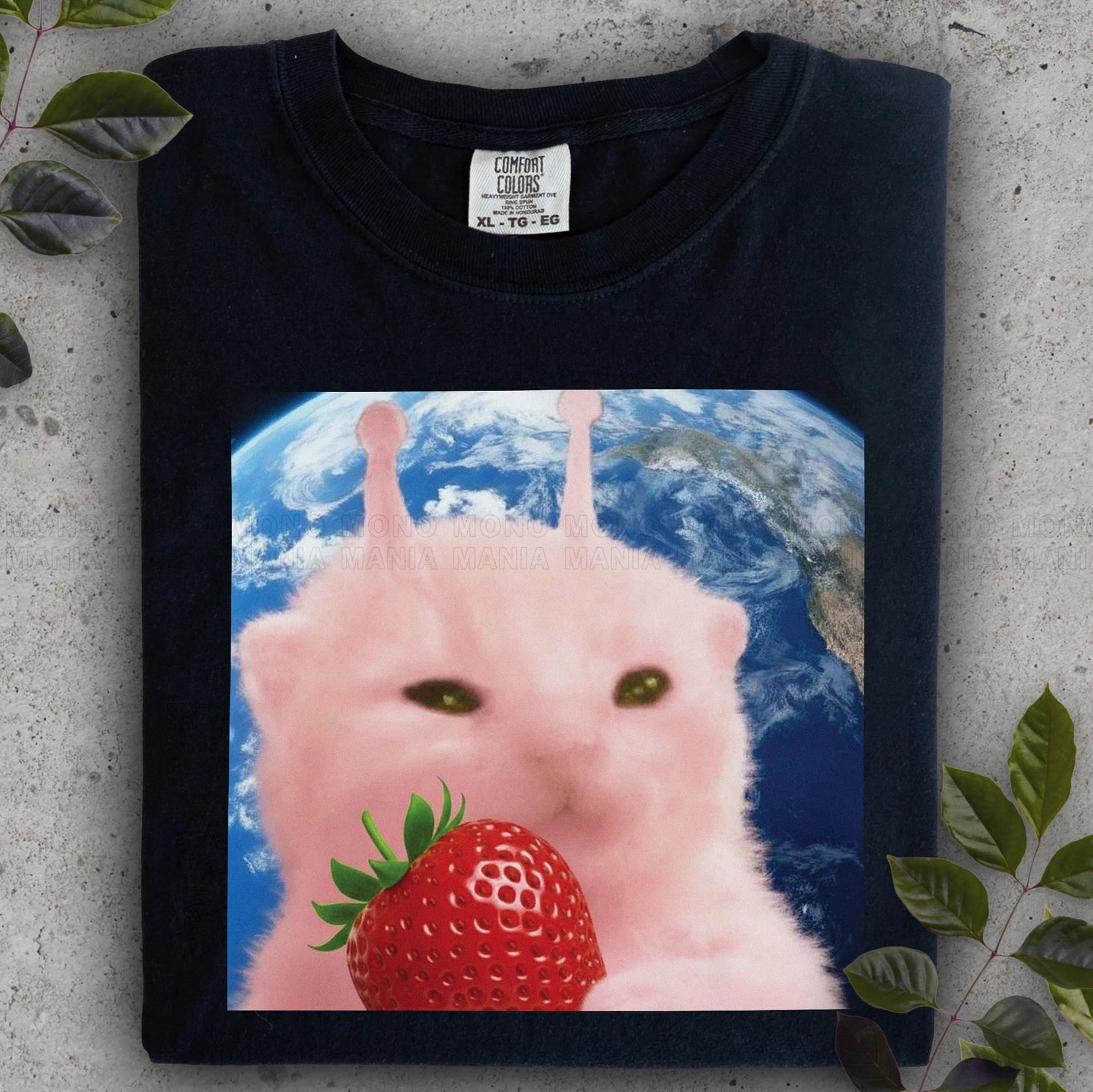 Alien cat Space cat strawberry cat silly cat meme Glorp meme Gen Z Joke ...