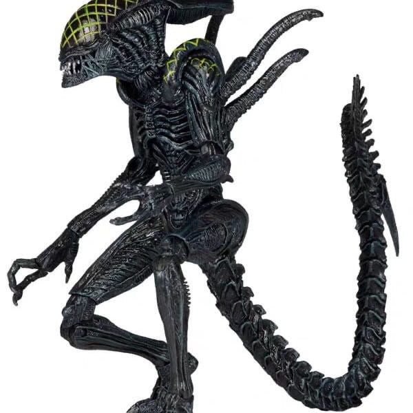 Alien vs. Predator: Grid Alien （7" Scale）Scale Action Figure ...